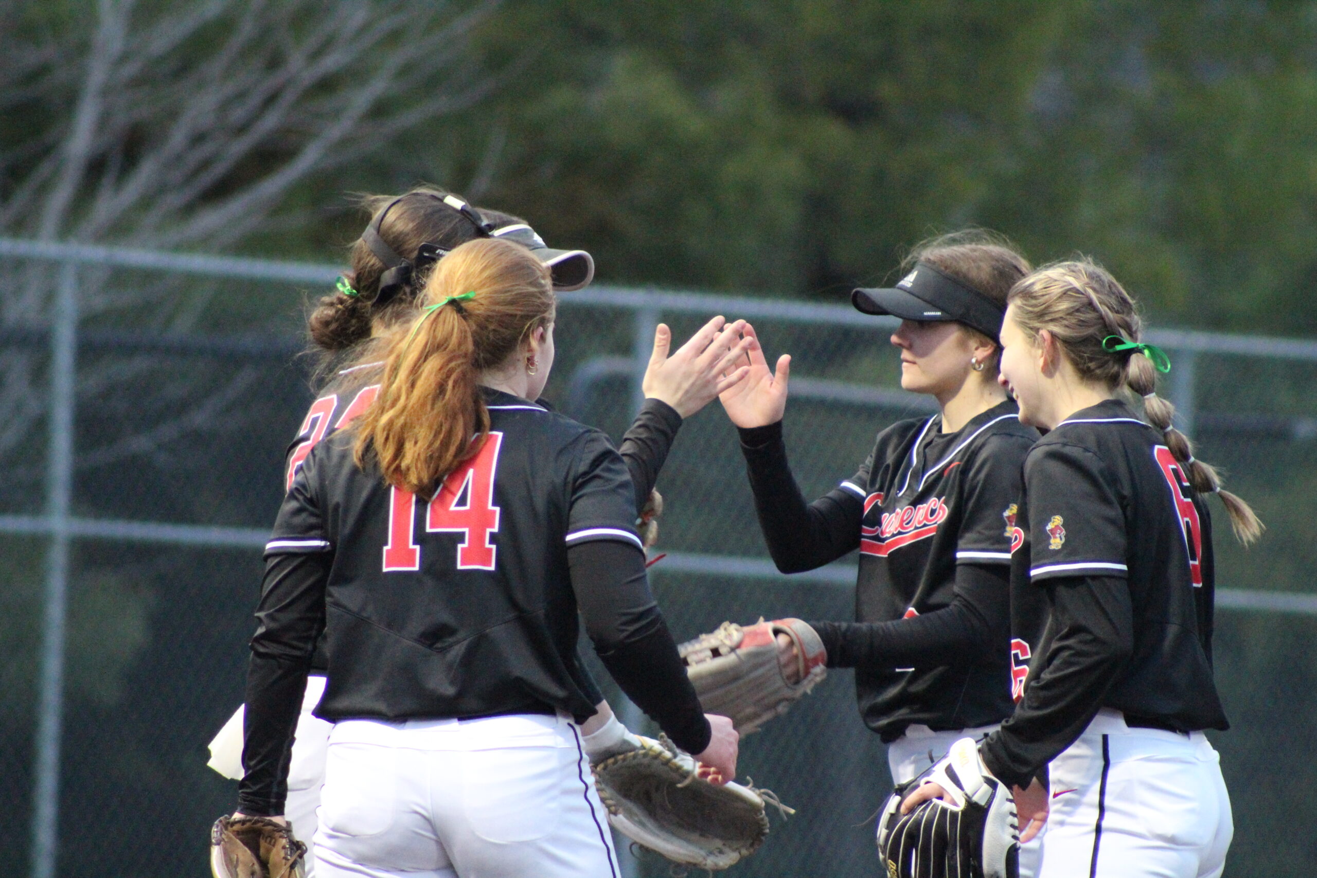 Preps Notebook: LHS softball opens season with doubleheader wins | News ...